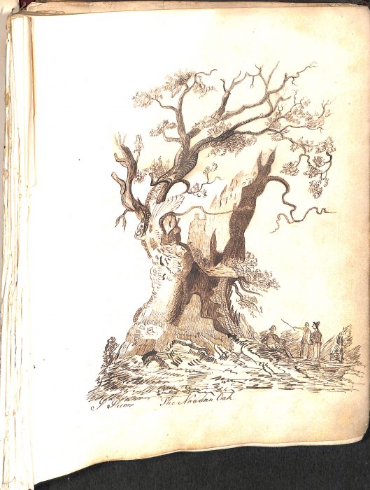 Austwick Hall Collection - Yorkshire Dales Community Archives