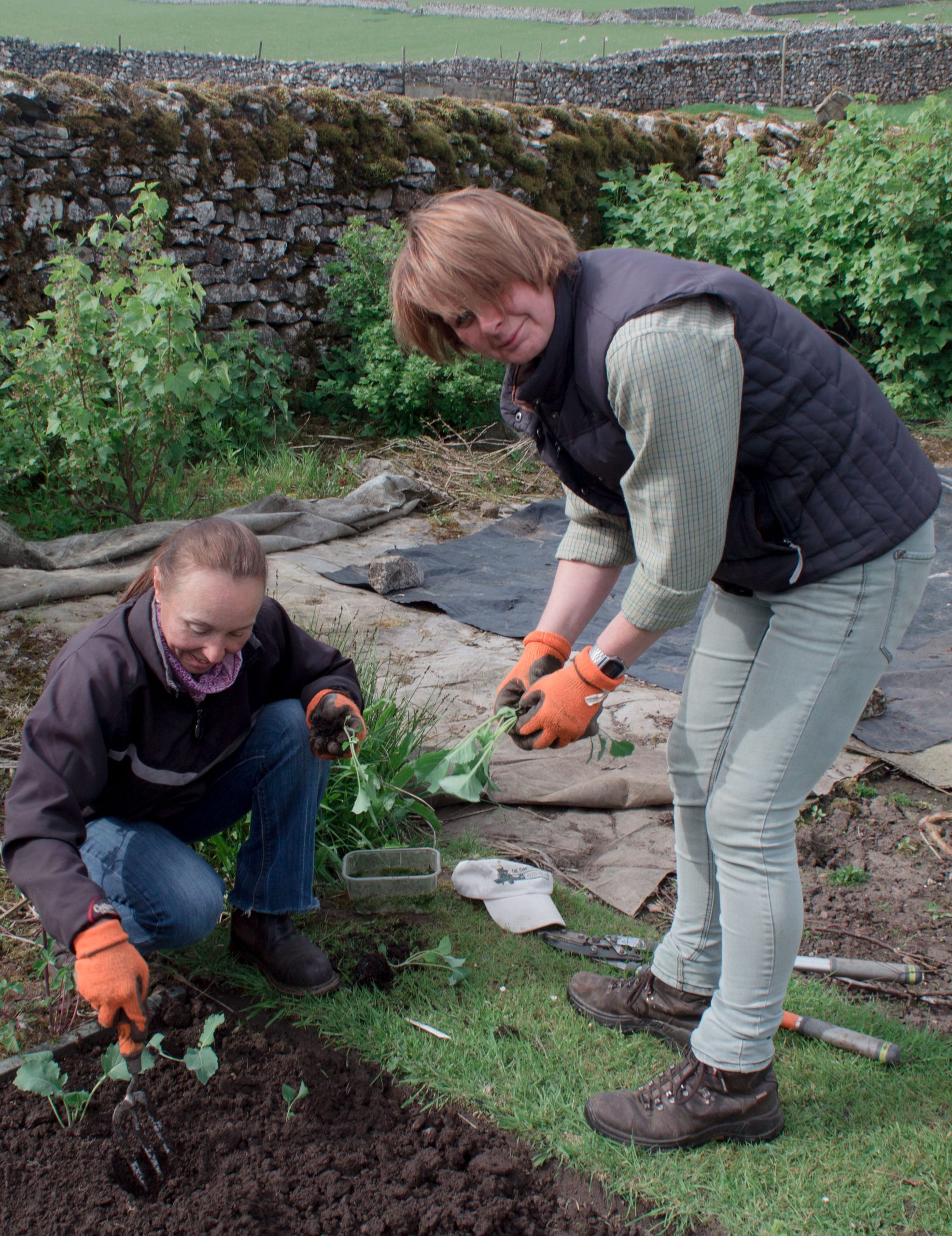 Sarah Handy and Carol Smith, Ribblesdale gardeners - Yorkshire Dales ...